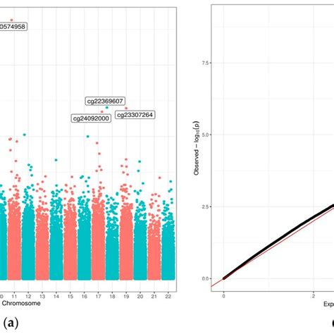 Manhattan Plot A And Q Q Plot B For The Epigenome Wide Association