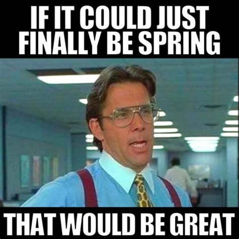 25 Funny Spring Memes That Are Better Than Allergies Darcy