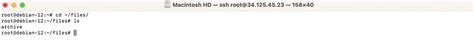 How To Zip Or Unzip Files On Debian Devtutorial