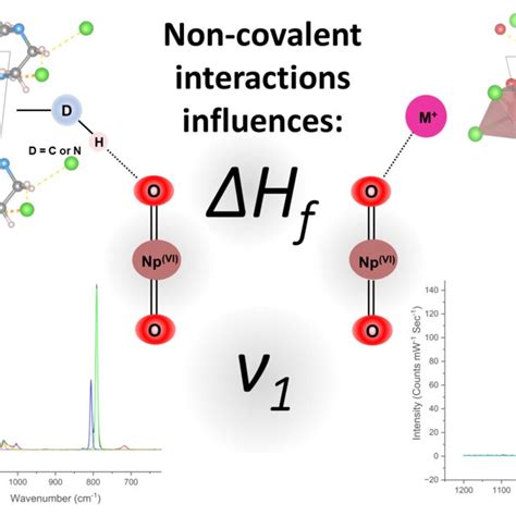 Non Covalent Interaction Nci Within Solid State Neptunyl Tetrachloro Download Scientific