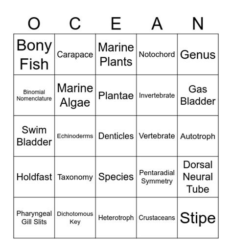 Classification Bing Bingo Card