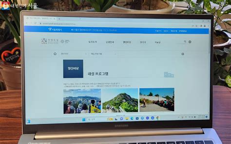 서울시 내 손안에 서울