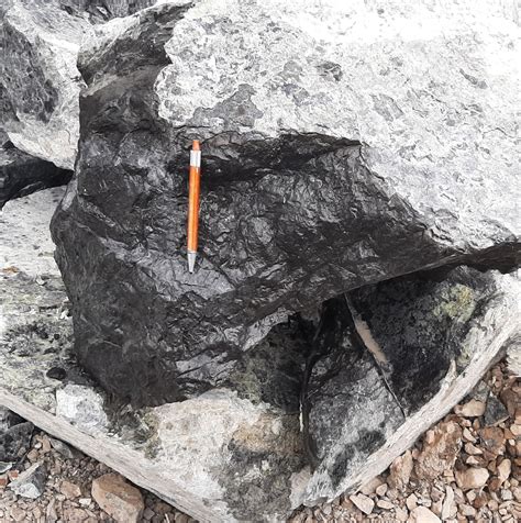 دونیتسنگ الیوین دار استخراج تهران