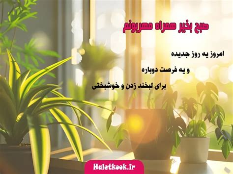 67 پیام صبح بخیر زیبا و متن قشنگ صبحت بخیر برای شروع روز خوب