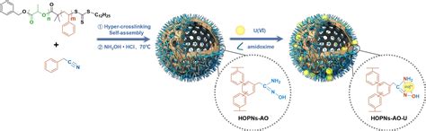 Synthesis Of Amidoxime‐modified Hollow Organic Porous Nanospheres For