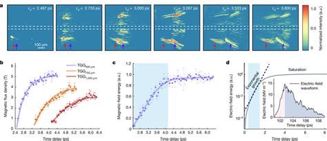Spatiotemporal Dynamics Of The Electromagnetic Field Of The Thz Spps A