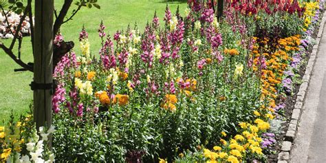 Flower Shrub And Tree Planting Service Pfeifer Landscaping 848