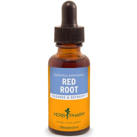 Red Root Extract Liquid 1 Oz Herb Pharm