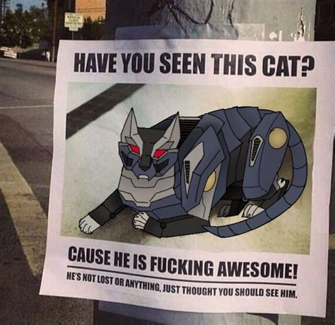 Pin By Im Really Tired Zzz On Transformers Transformers Memes