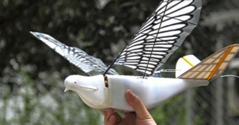 China Utiliza Drones En Forma De Palomas Para Vigilar A Sus Ciudadanos