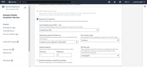 explore the ecs service set up the necessary configurations and