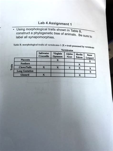 solved lab 4 assignment using morphological traits shown in table b