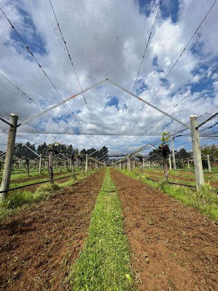 What Is Biodynamic Organic Understanding Sustainable Organic Farming