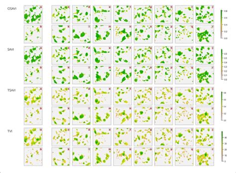 Hyperspectral Vegetative Indices Osavi Savi Tsavi And Tvi Images