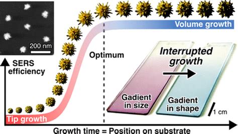 用于快速筛选表面增强拉曼散射效率的等离子体梯度阵列：金纳米星的粒子库 Chemistry Of Materials X Mol