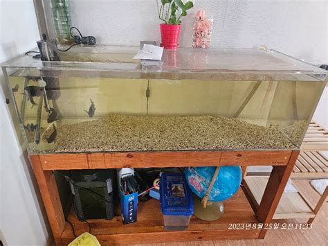 아크릴수조 4자어항 에하임 외 당근 중고거래