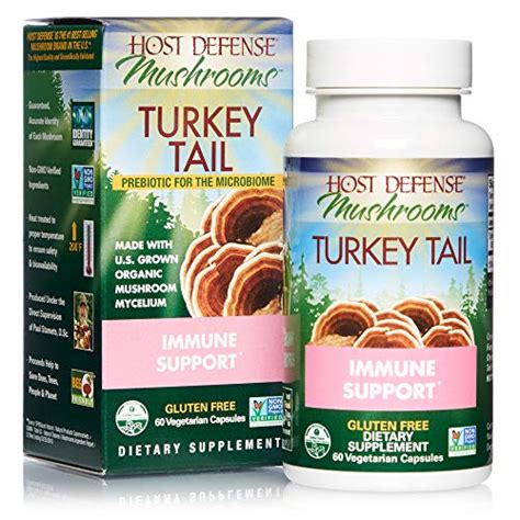 Top 5 Best Turkey Tail Supplement 2024 Guides By Rebatekey