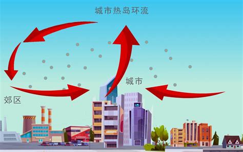 城市热岛效应 科学小视 科学小视 哔哩哔哩视频