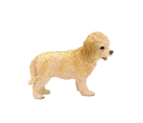 Cockapoo Blonde Camelot Cremation
