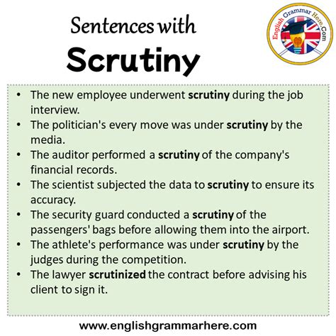Sentences With Scrutiny Scrutiny In A Sentence In English Sentences