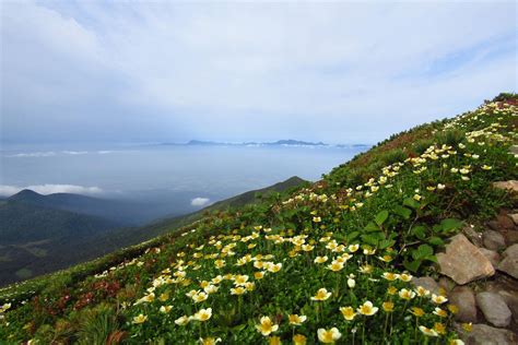 2023年夏、始まりはやはり富良野から・・・😊 テルさんの十勝岳・富良野岳・美瑛岳の活動データ Yamap ヤマップ