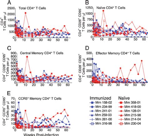 Cd4 ϩ T Cell Populations Postinfection Cd4 ϩ T Cell Counts Were