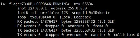 Loopback Interface（环回接口）看这篇就够了 Csdn博客