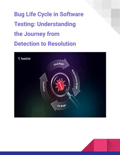 Software Testing Defectbug Life Cycle Complete Flow Chart Of