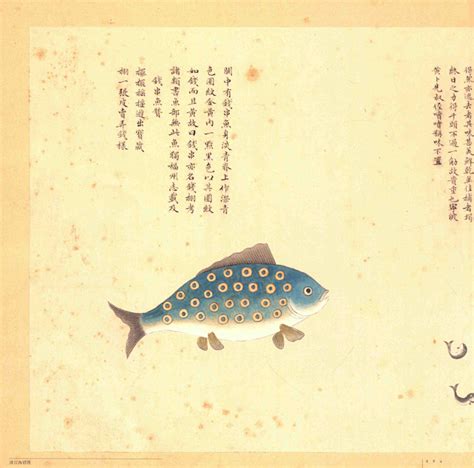 清宫海错图1册46