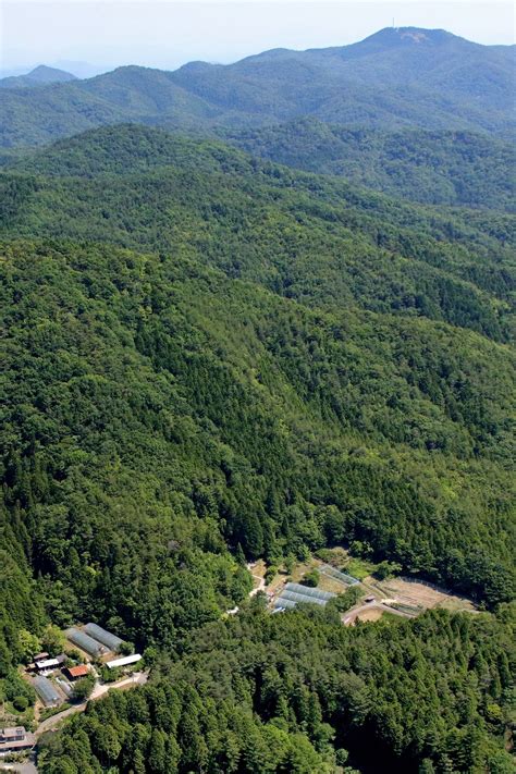 ふじい農園へのレビュー・商品：広島県｜食べチョク｜産地直送産直お取り寄せ通販 農家・漁師から旬の食材を直送