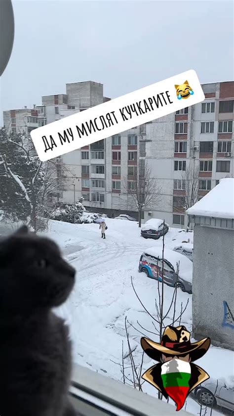 Мартин Давидов