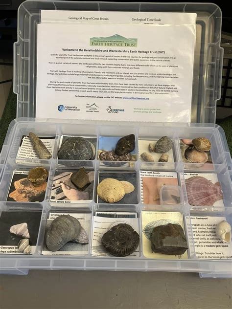 Fossil Resources Boxes For Schools Earth Heritage Trust