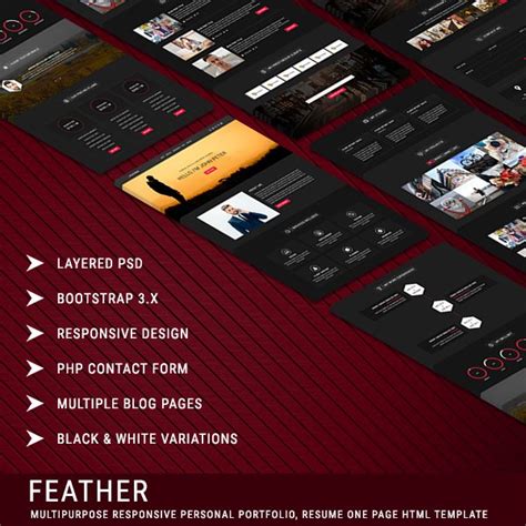 FEATHER Multipurpose Responsive Personal Portfolio Resume One Page HTML Template Pennyblack