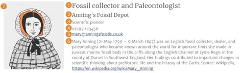 Metadata Display Oxford Mosaic