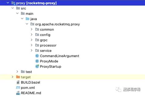 How Rocketmq Proxy Startup