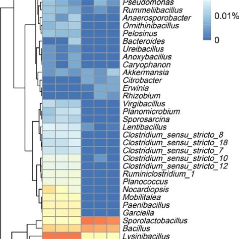 Heatmap For The Relative Abundance Of The Main Microbial Genera