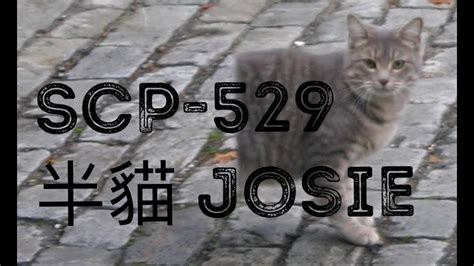 Scp基金會 Scp 529 Josie The Half Cat 半貓josie 中文） Youtube