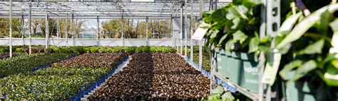 De Jong Plant B V Interforce Networks Bv Cloud Specialist