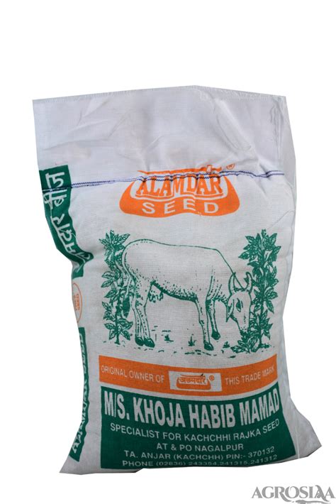 Alamdar Rajka Bij Ek Sali Grass Seed 1 Kg