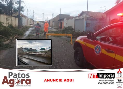 Temporal Chuva Forte Com Granizo Derruba árvores E Causa Alagamentos