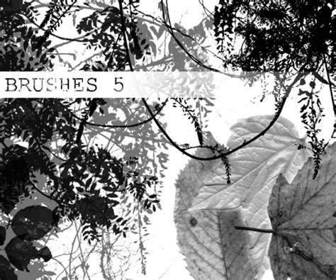 Free Photoshop Tree Brushes GeekSucks