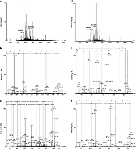 Identification And Analysis Of Antioxidant Peptides By Lc Msms