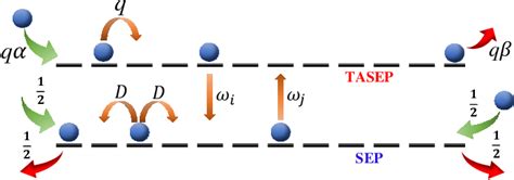 Figure 1 From Nonequilibrium Steady States In Coupled Asymmetric And Symmetric Exclusion