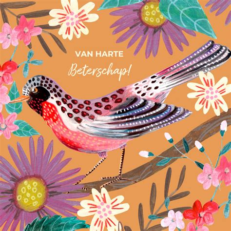Beterschapskaart Vogel Met Bloemen Oranje Kaartje Go