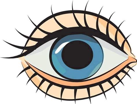 Бие эрхтэн Би цэцэрлэгийн багш