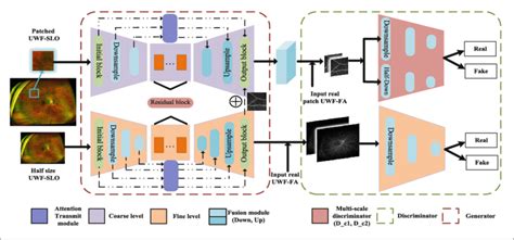 the overall framework of uwat gan download scientific diagram
