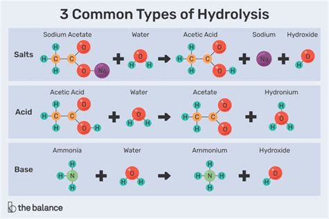 An Explanation Of The Process Hydrolysis