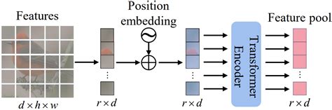Bi Directional Ensemble Feature Reconstruction Network For Few Shot Fine Grained Classification
