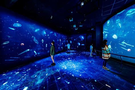 海生館全新打造深海水域區 新春揭浮游生物神秘面紗 旅遊 聯合新聞網