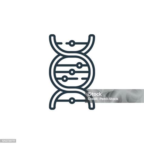 Icône Vectorielle Dadn Dadn Modifiable Symbole Linéaire Dadn Pour Une